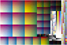 Process Standards: Digital Print Check